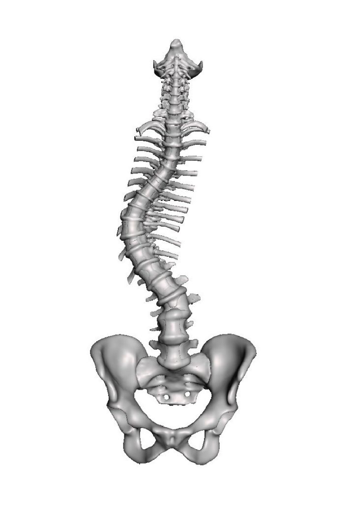NuVasive Comprehensive Full Spine – SurgiSTUD
