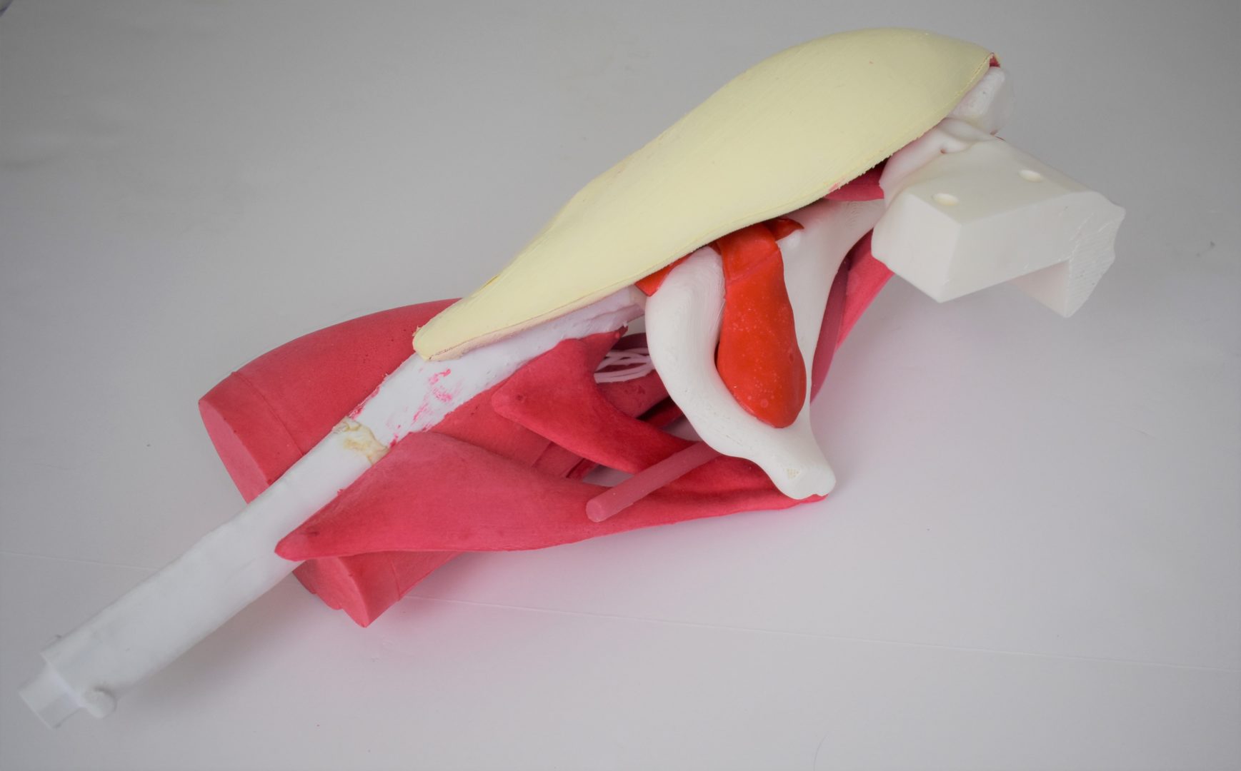 Comprehensive Hip – Uncasted – SurgiSTUD