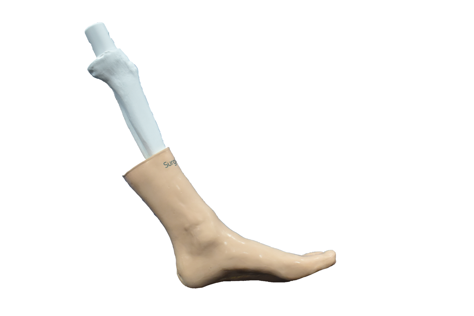Comprehensive Ankle – Cast – SurgiSTUD